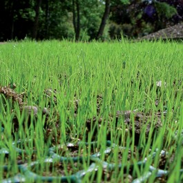 Ground Reinforcement Mesh